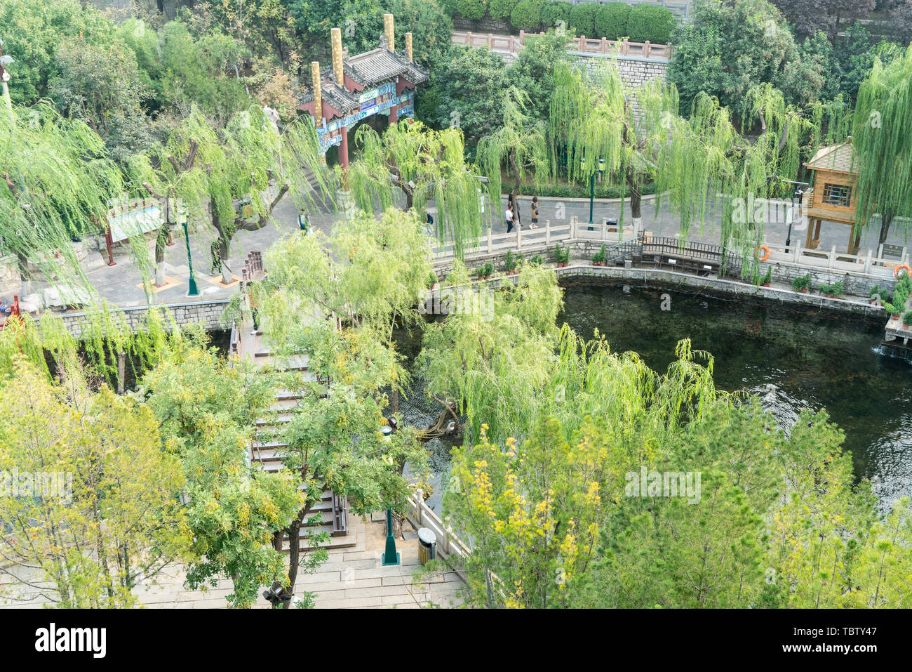 Black tiger spring hi-res stock photography and images - Alamy