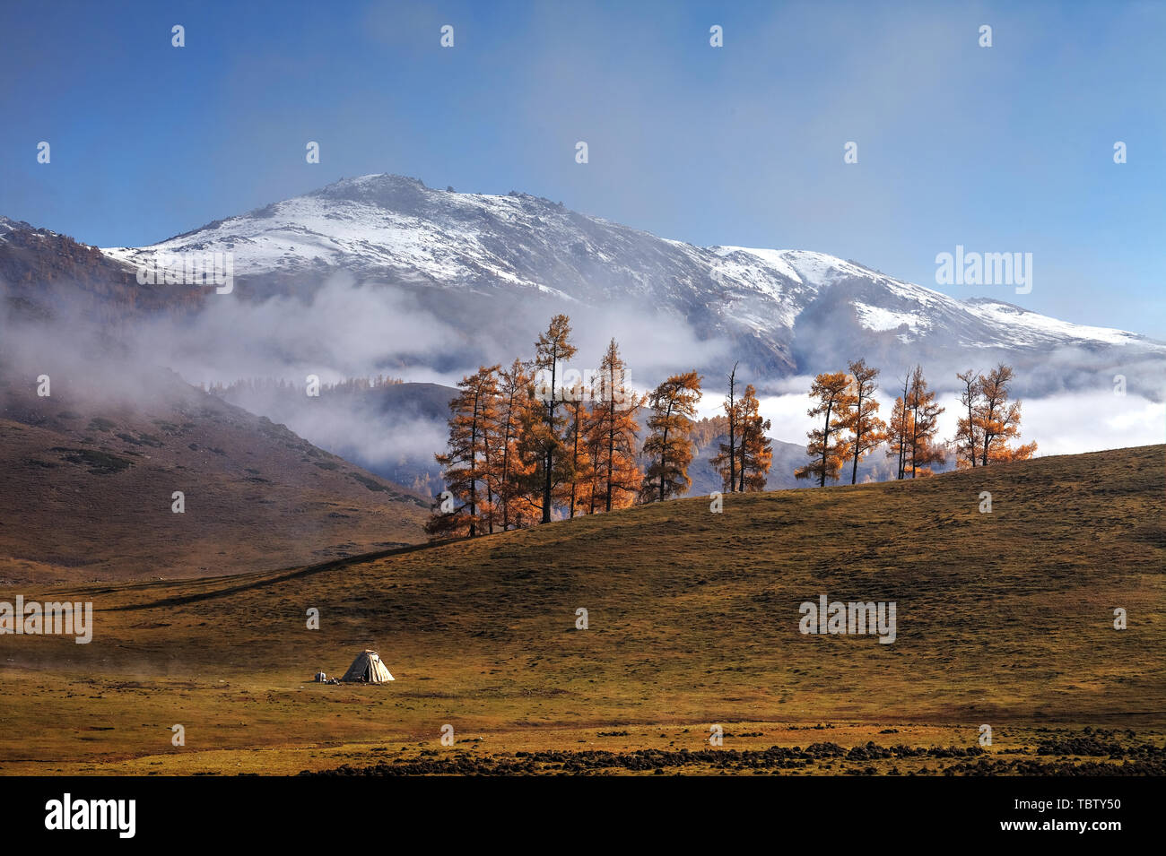 The pastoral song Stock Photo - Alamy