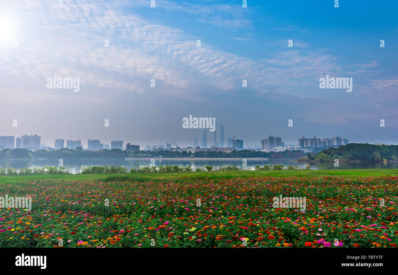 Haizhu Lake overlooks the Pearl River New City Stock Photo - Alamy