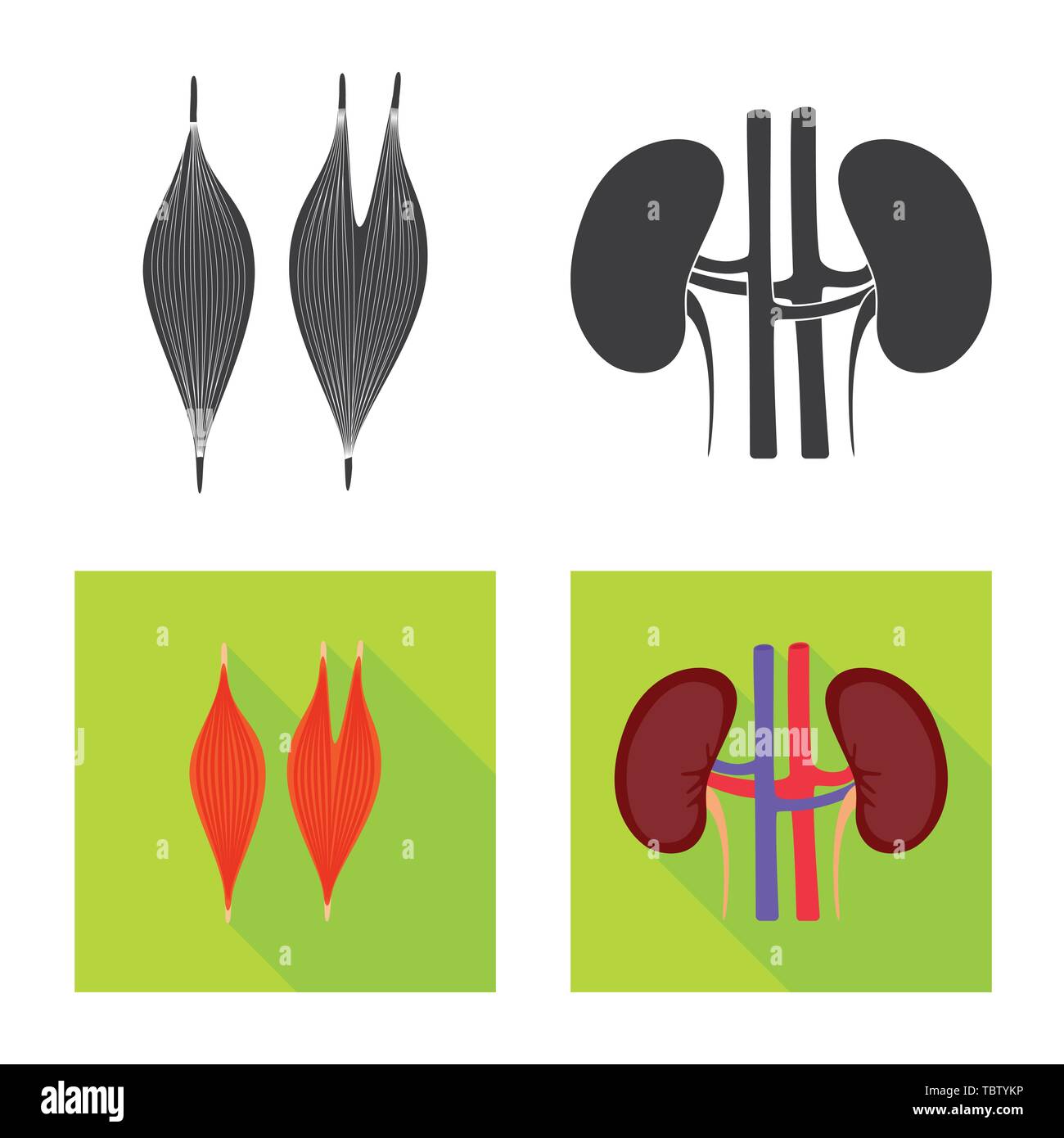 Vector design of biology and scientific icon. Collection of biology and ...