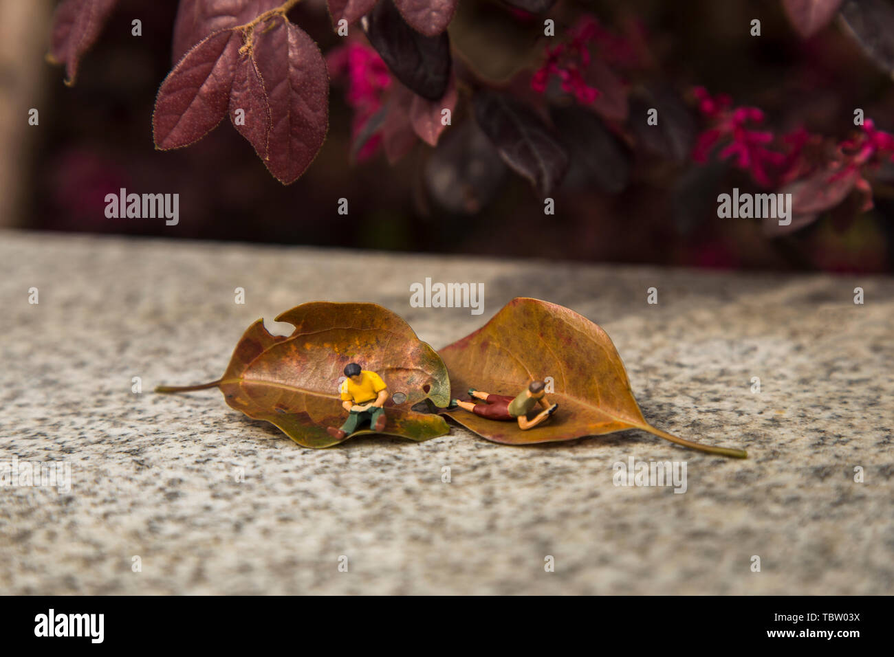 Miniature photography hi-res stock photography and images - Alamy