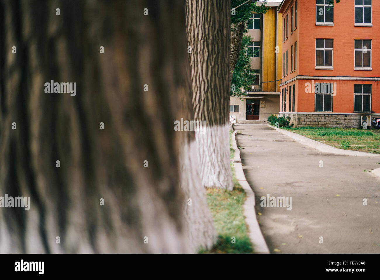 A quiet path Stock Photo - Alamy