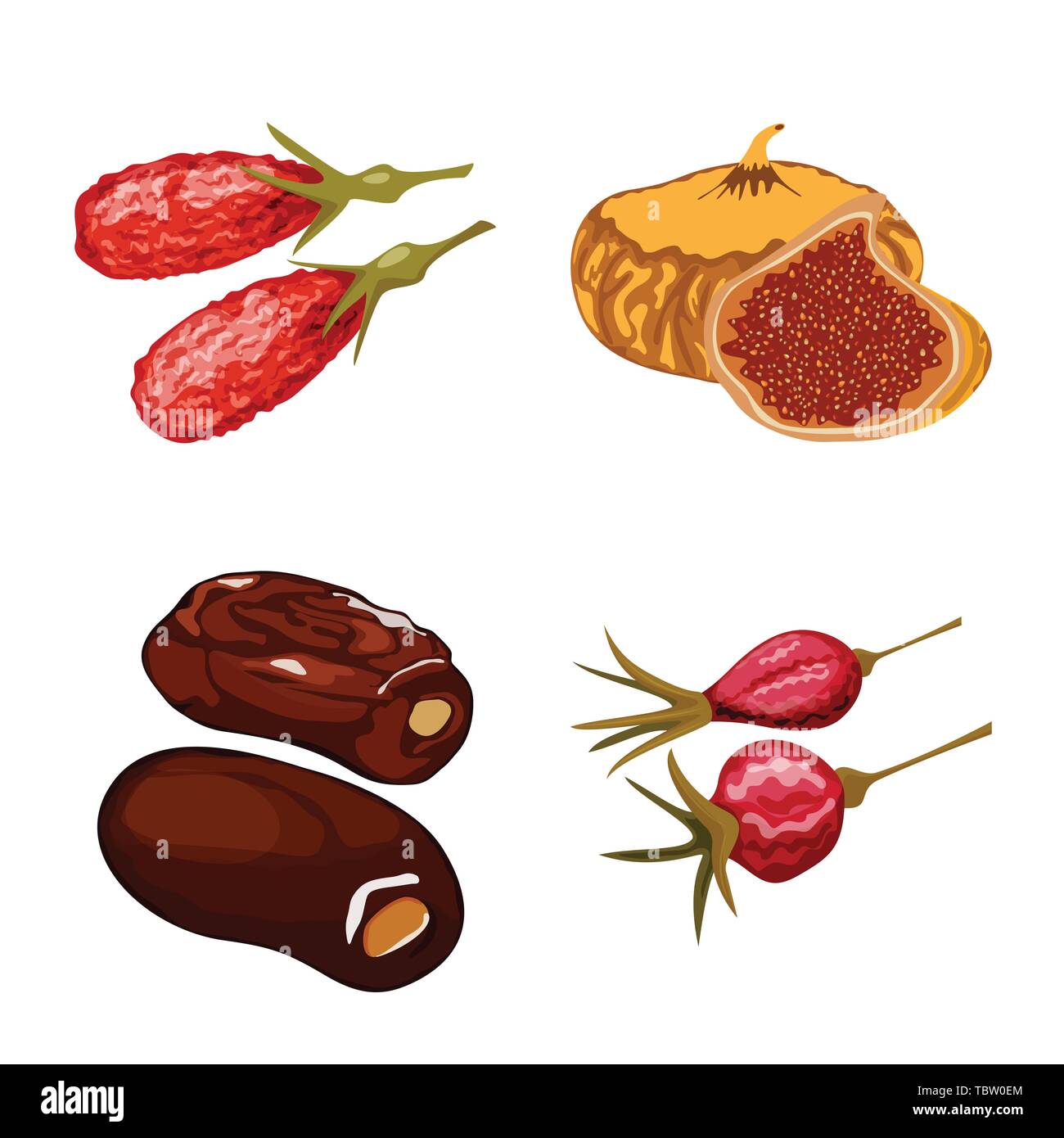 Isolated object of fruit and dried symbol. Set of fruit and food stock ...