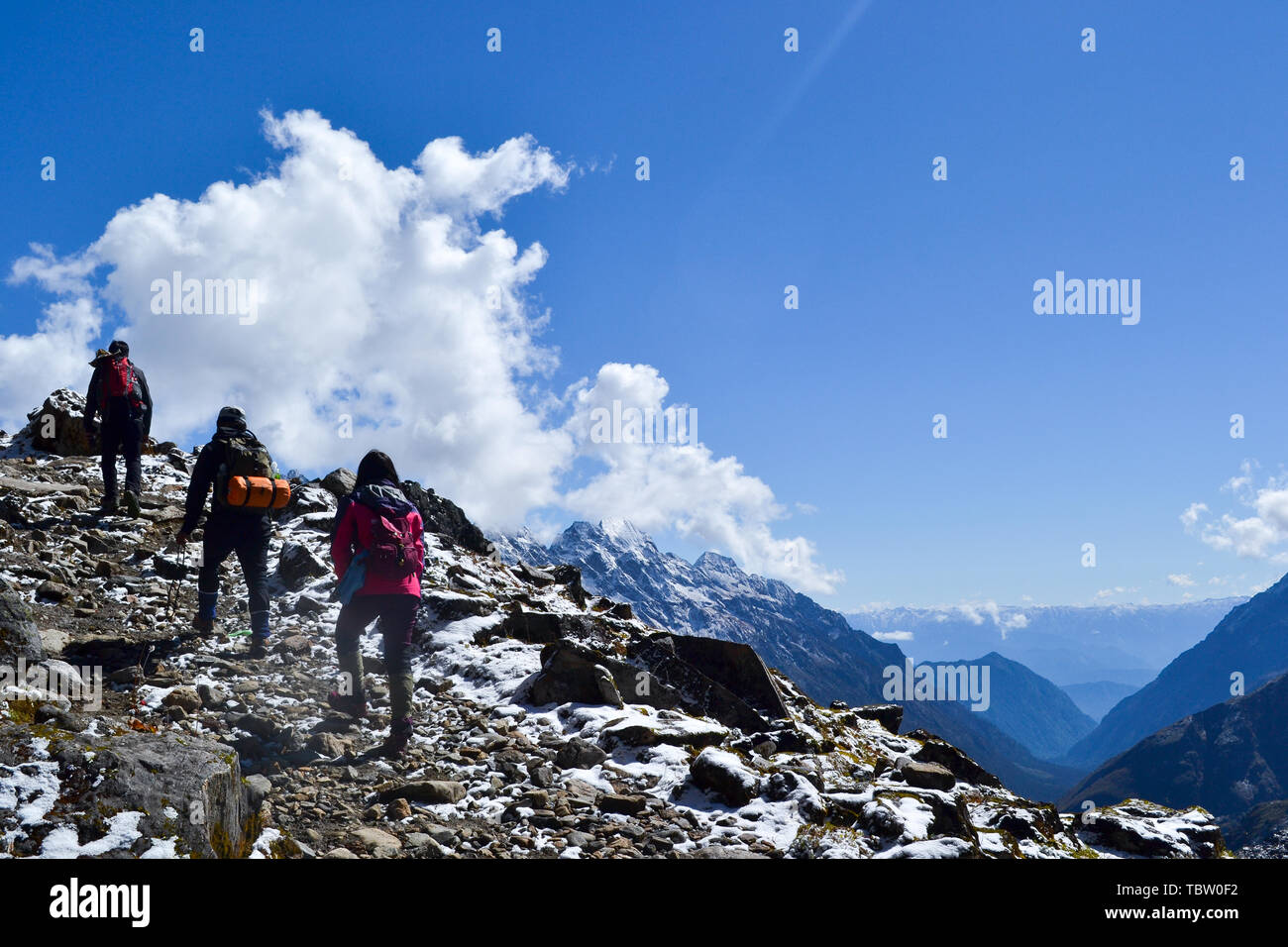 Murt hi-res stock photography and images - Alamy