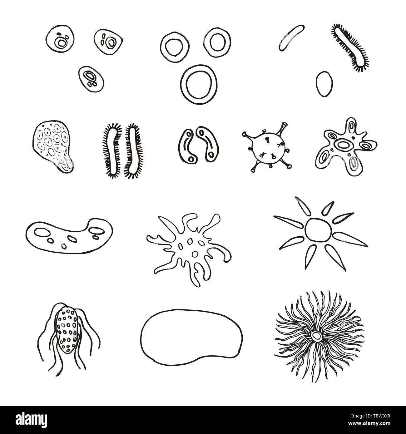 A set of bacteria and viruses. Vector illustration. Medical research ...