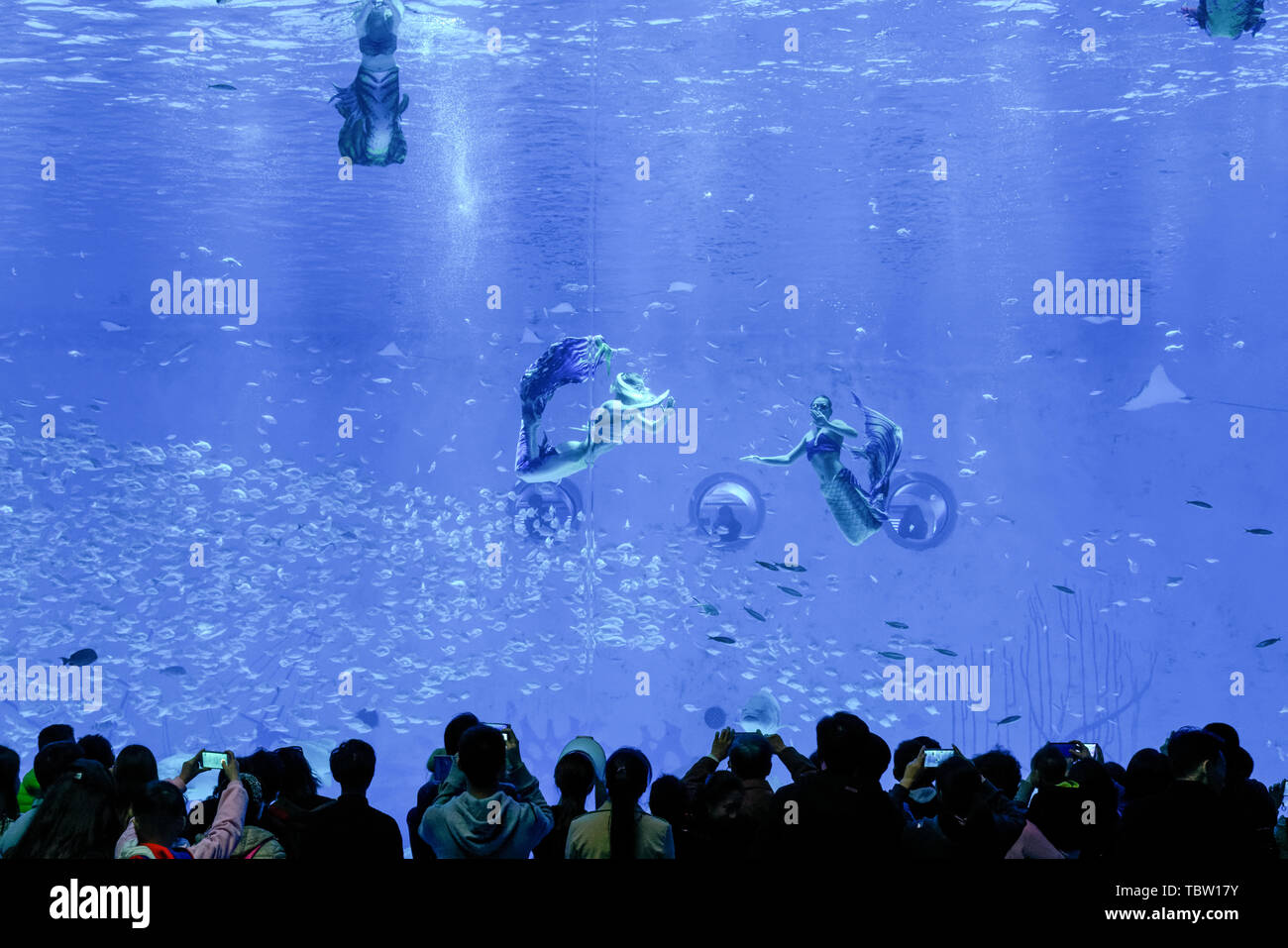 Mermaid performance at Haichang Ocean Park, Shanghai Stock Photo - Alamy