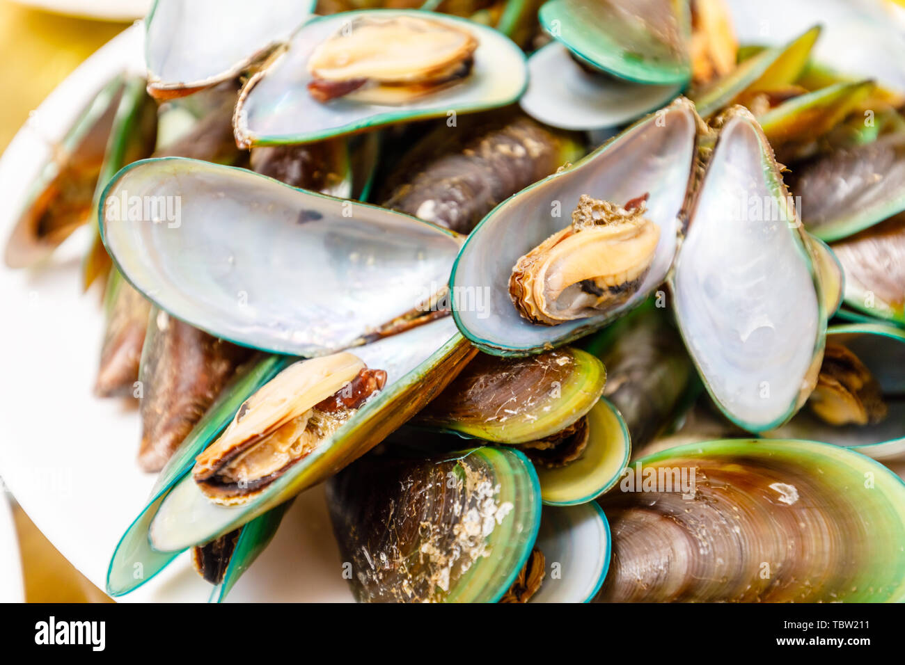 Bivalves High Resolution Stock Photography and Images - Alamy