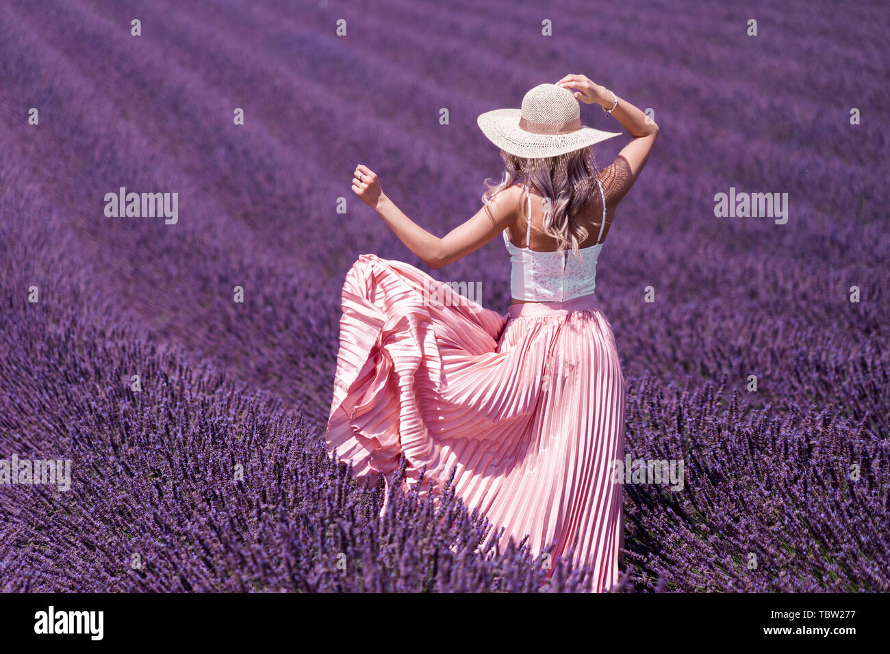 Lavender manor hi-res stock photography and images - Alamy