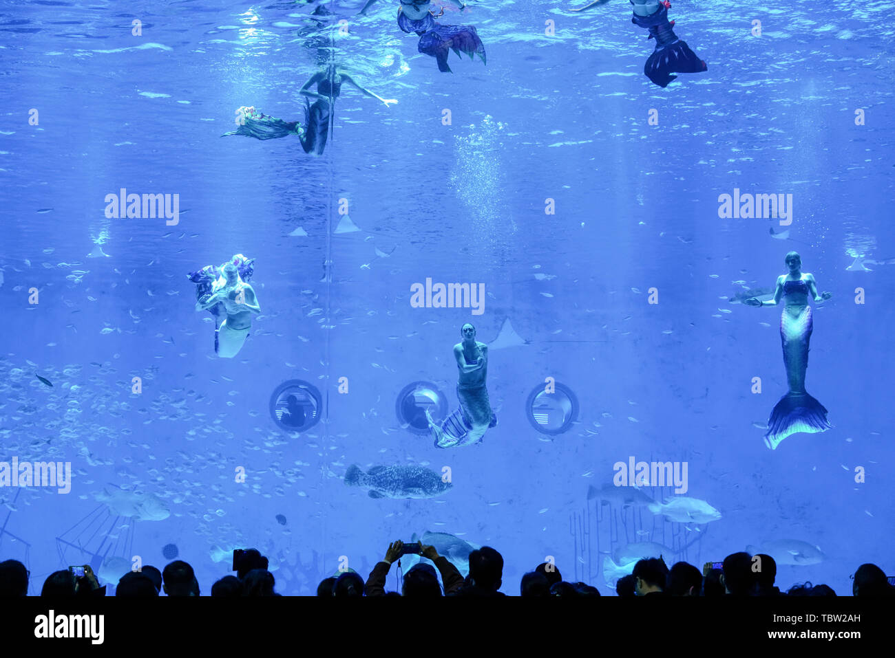 Mermaid performance at Haichang Ocean Park, Shanghai Stock Photo - Alamy