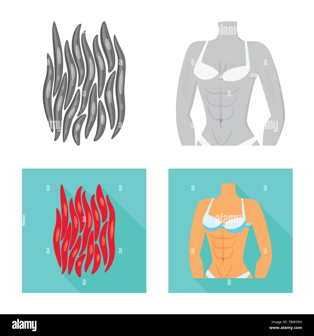 Vector illustration of fiber and muscular sign. Set of fiber and body ...
