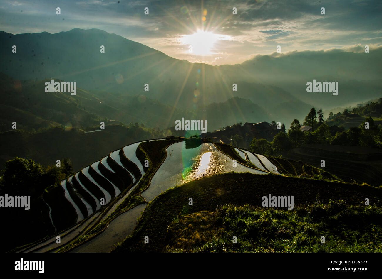 Jinkeng terraced fields hi-res stock photography and images - Alamy