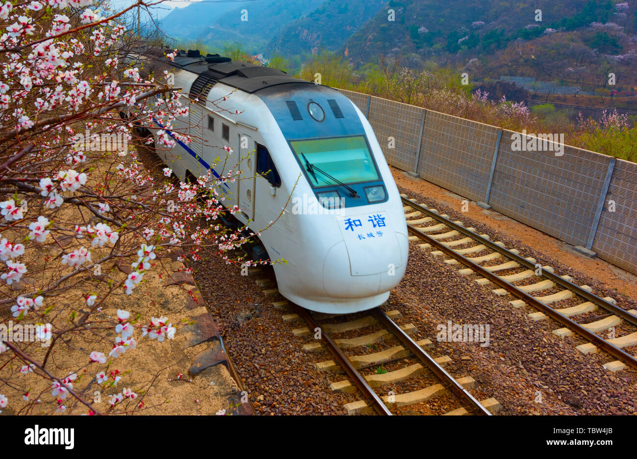 A train for spring Stock Photo - Alamy