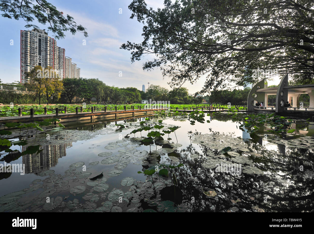 Honghu Park, Shenzhen Stock Photo - Alamy