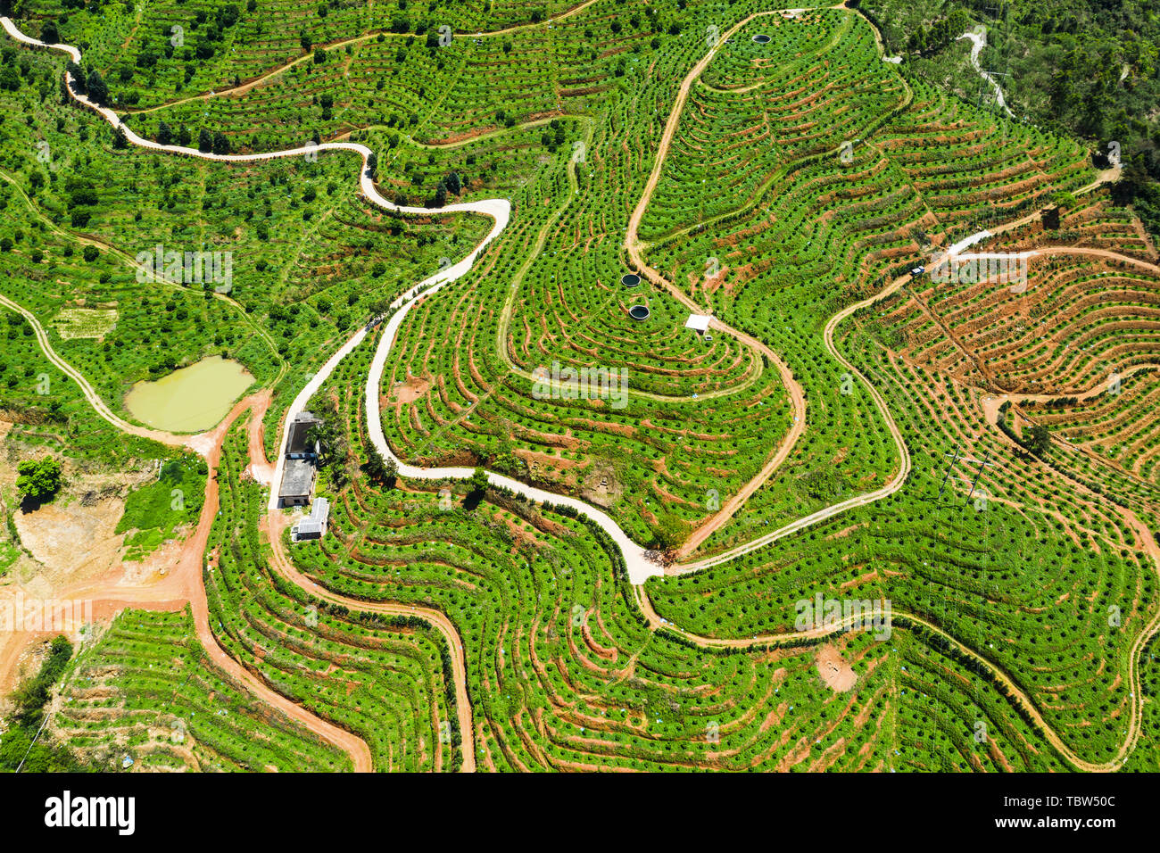 Yongchun county hi-res stock photography and images - Alamy