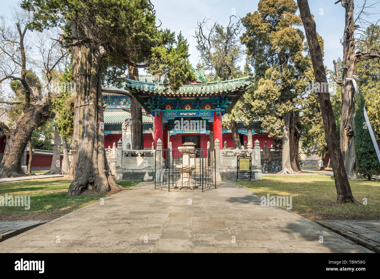 Ancient Tree of Yan Temple in Qufu, Shandong Province Stock Photo - Alamy