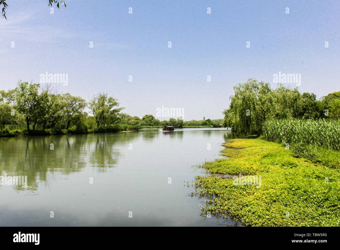 Scenery of Xixi Wetland Park in Hangzhou Stock Photo - Alamy
