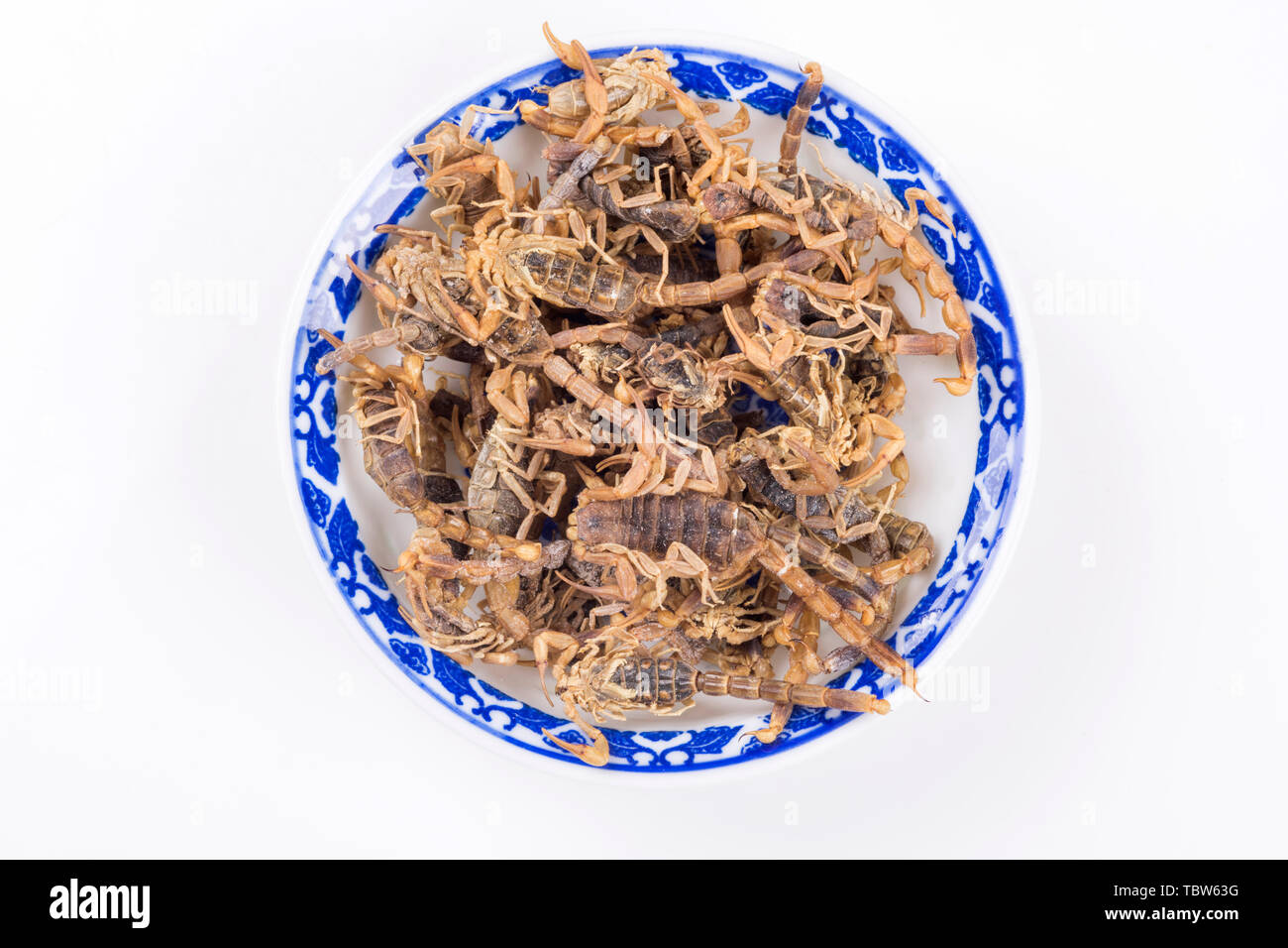 Dry scorpion High Resolution Stock Photography and Images - Alamy