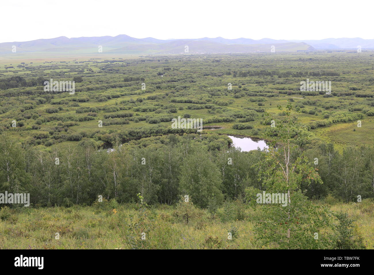 Erguna scenery and scenery hi-res stock photography and images - Alamy