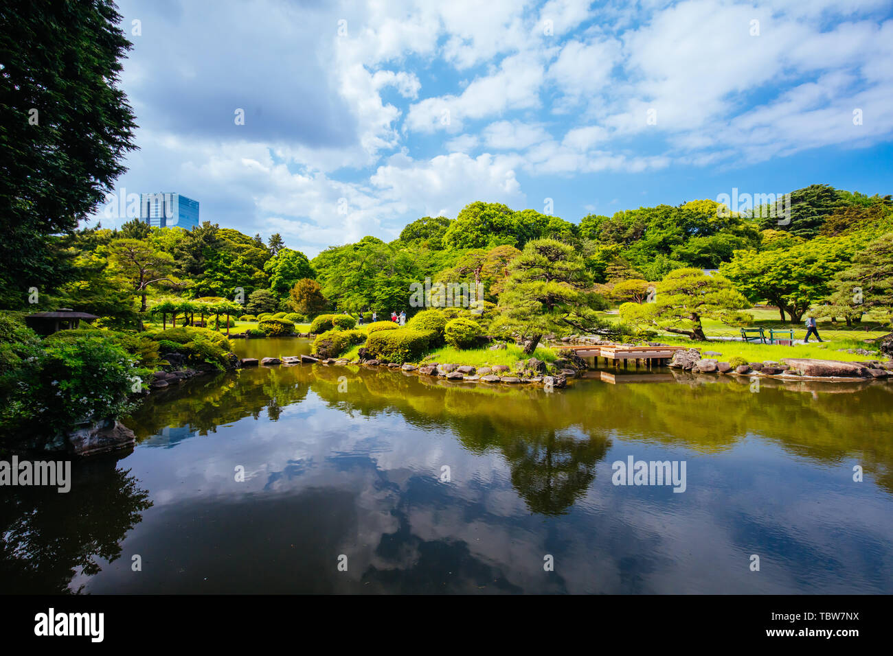 Shinjuku Gyoen National Garden in Tokyo Stock Photo - Alamy