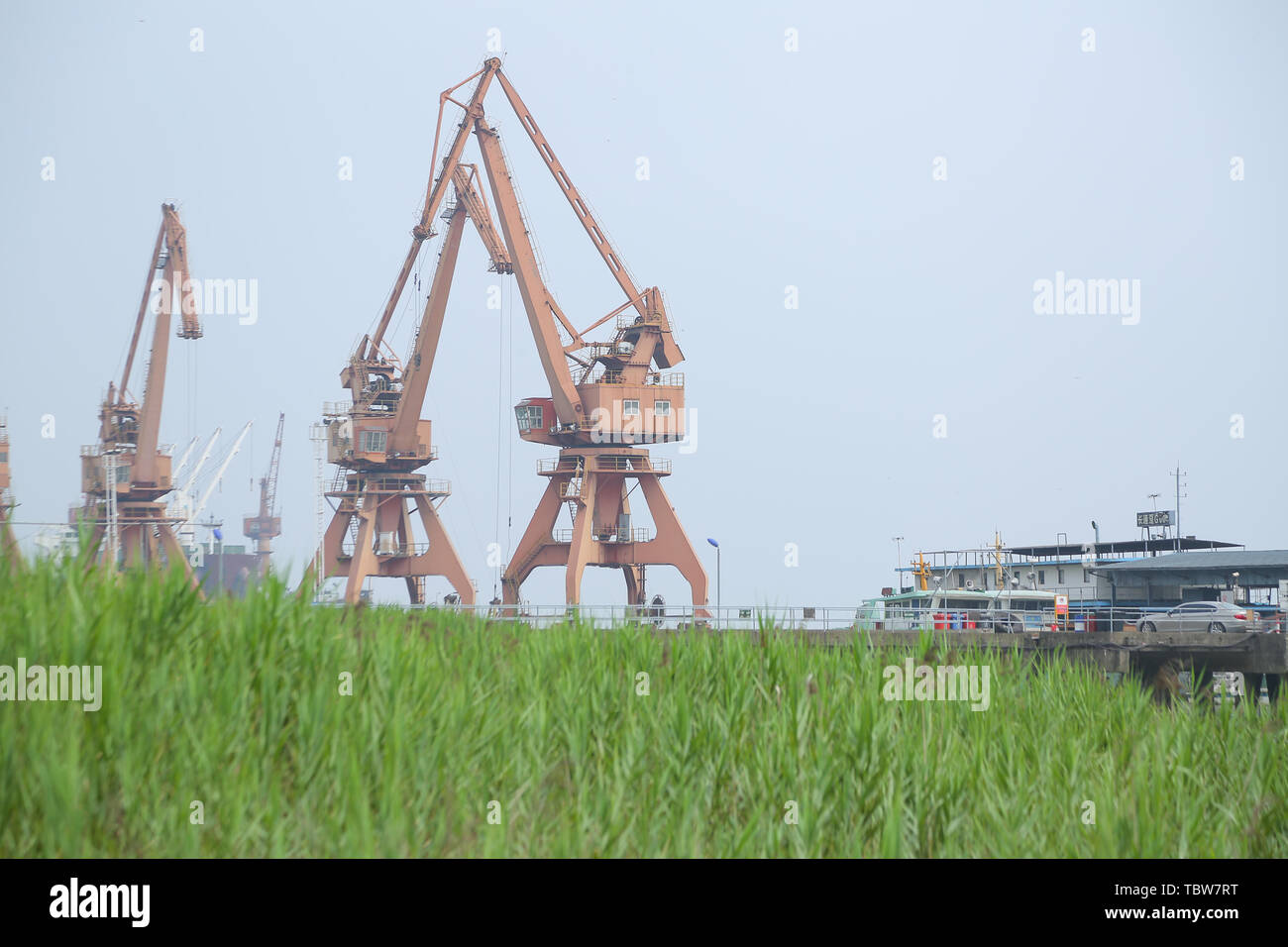 Port gantry crane Stock Photo - Alamy
