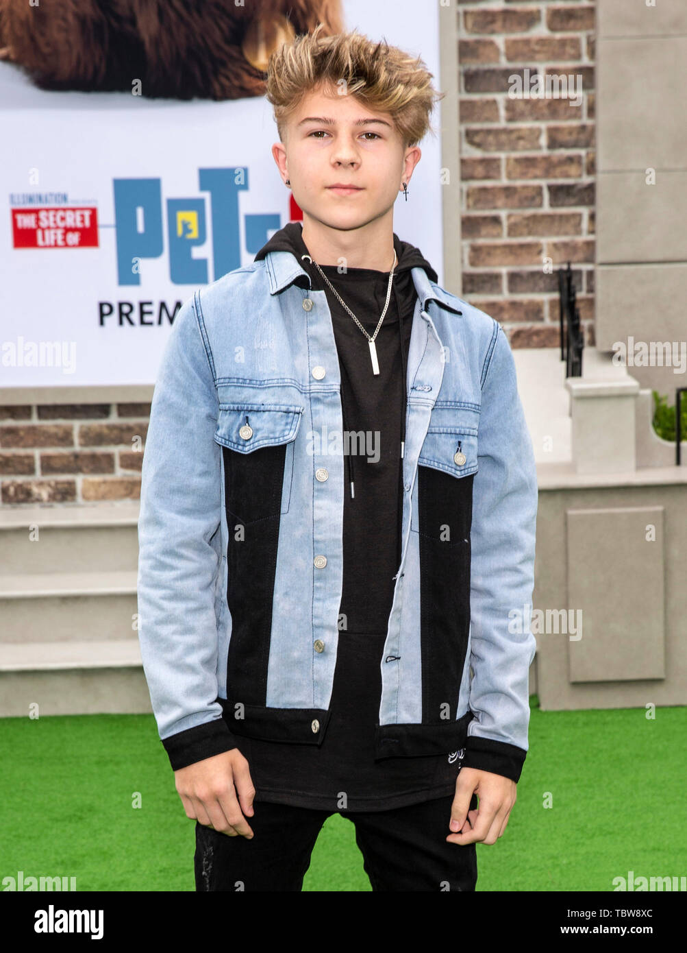 Los Angeles, CA - June 02, 2019: Dylan Hartman attends the Premiere Of ...