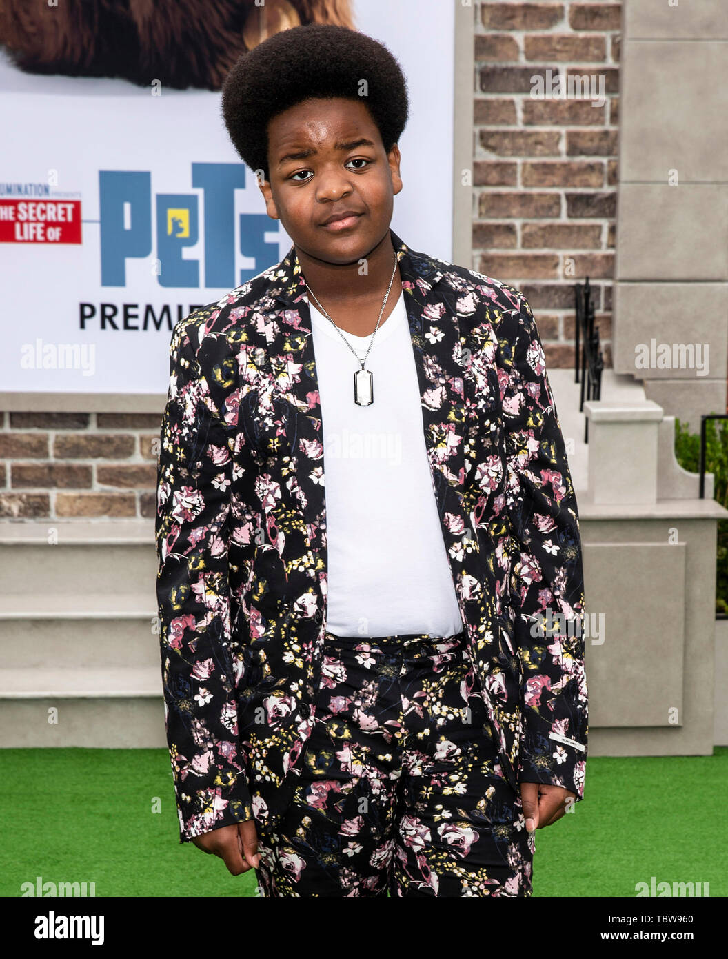 Los Angeles, CA - June 02, 2019: Keith L. Williams attends the Premiere ...