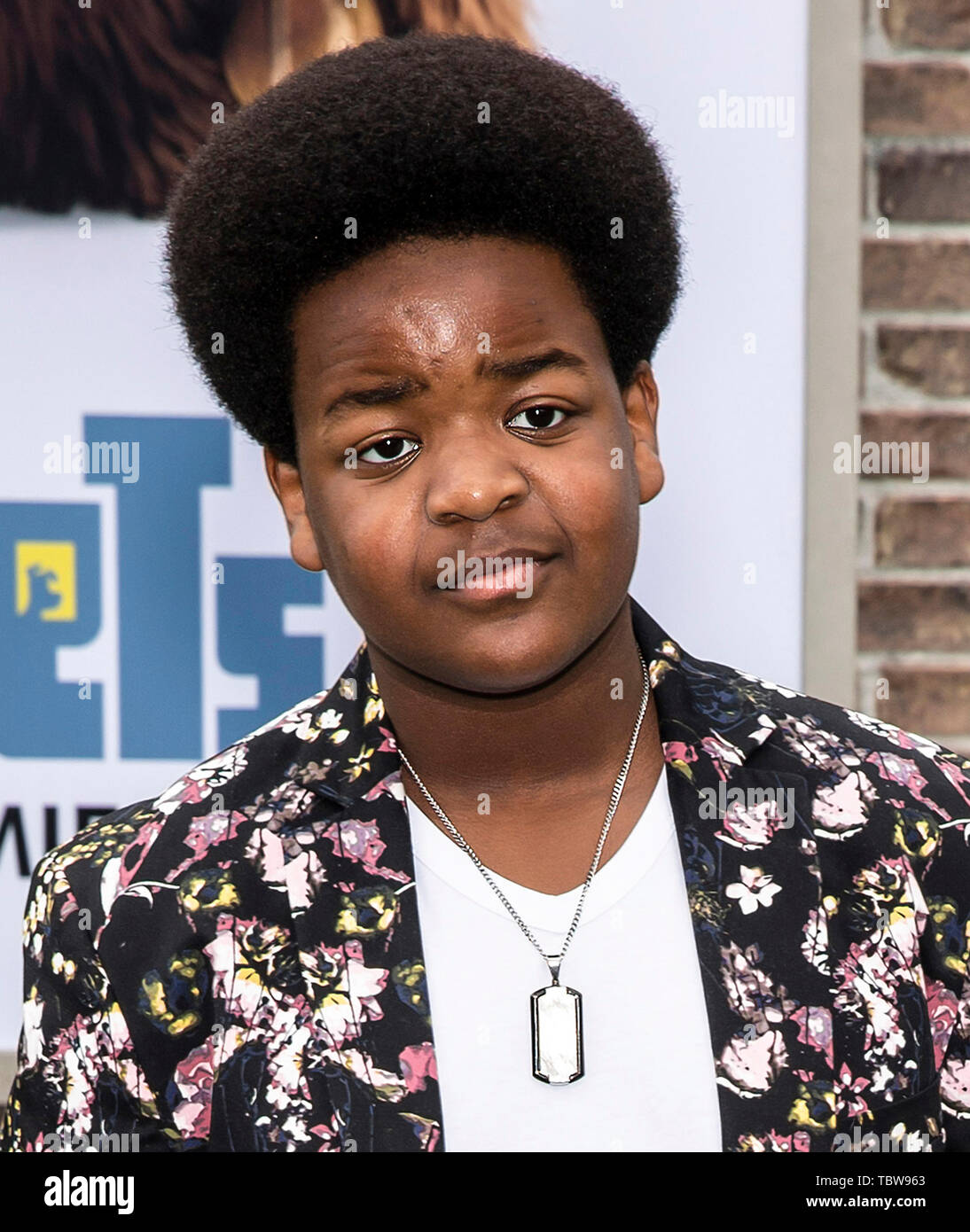 Los Angeles, CA - June 02, 2019: Keith L. Williams attends the Premiere ...