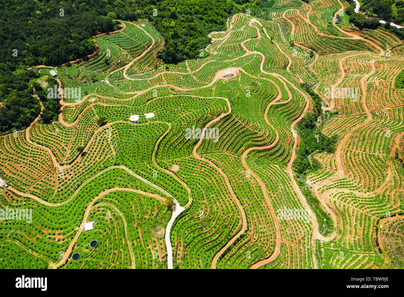 Yongchun High Resolution Stock Photography and Images - Alamy