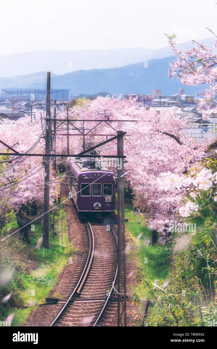 Sakura train tunnel Stock Photo - Alamy
