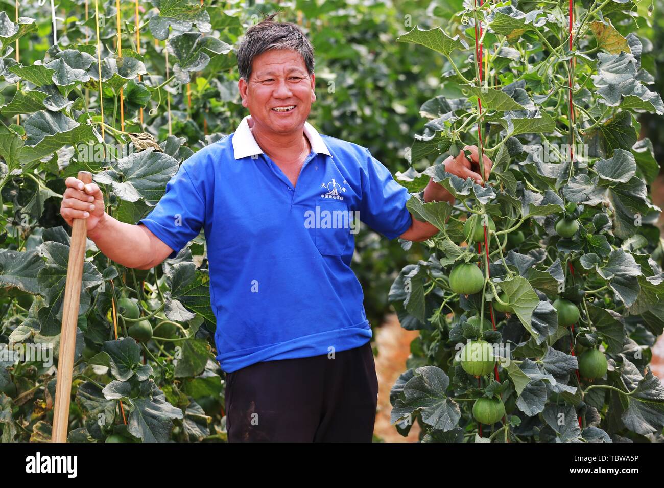 Joy of harvest hi-res stock photography and images - Alamy