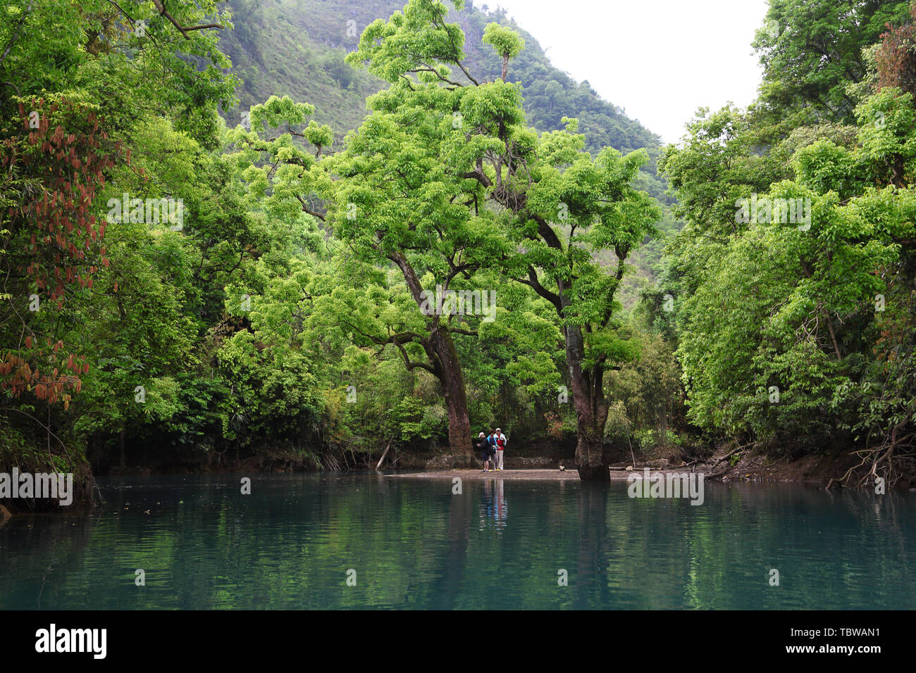 Small seven hole scenic spot hi-res stock photography and images - Alamy