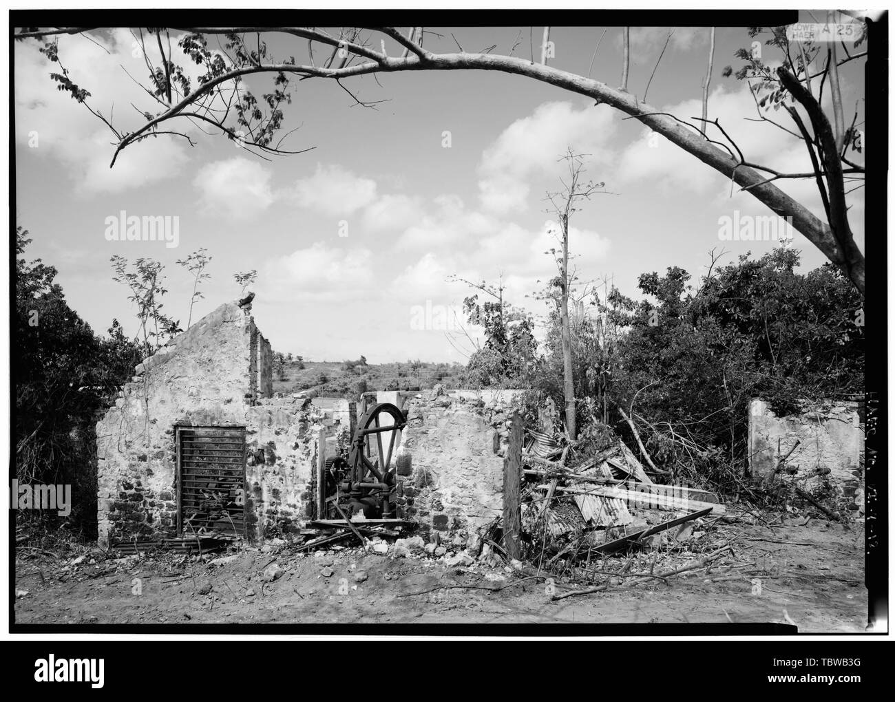 Marie hoffmann hi-res stock photography and images - Alamy