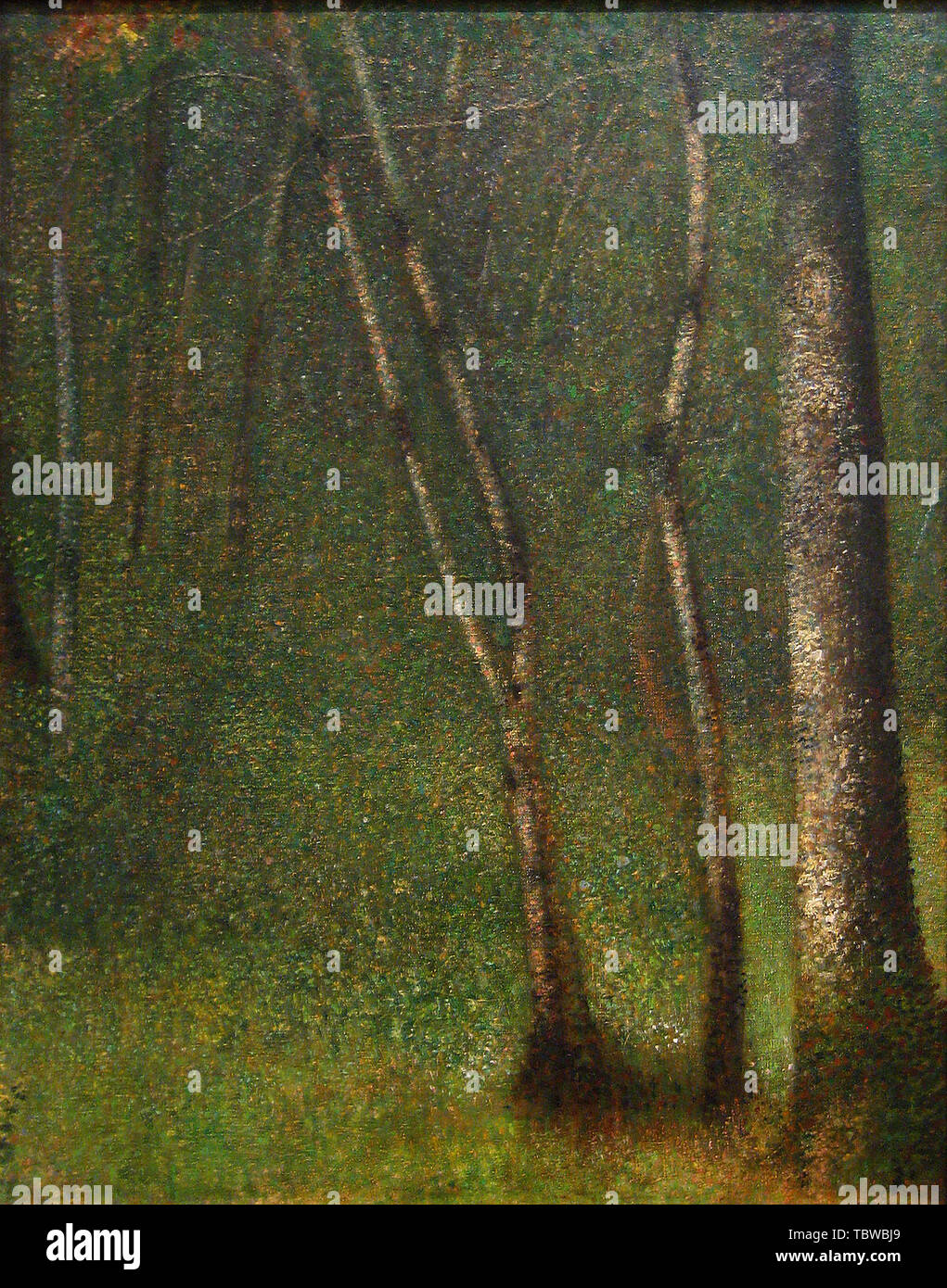 Georges Seurat - Forest Pontaubert 1881 Stock Photo - Alamy