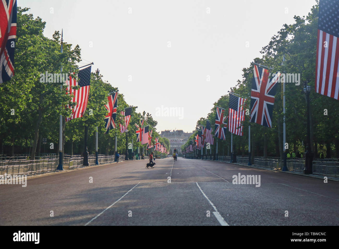 The Mall decked with flags during a three day State Visit by President ...