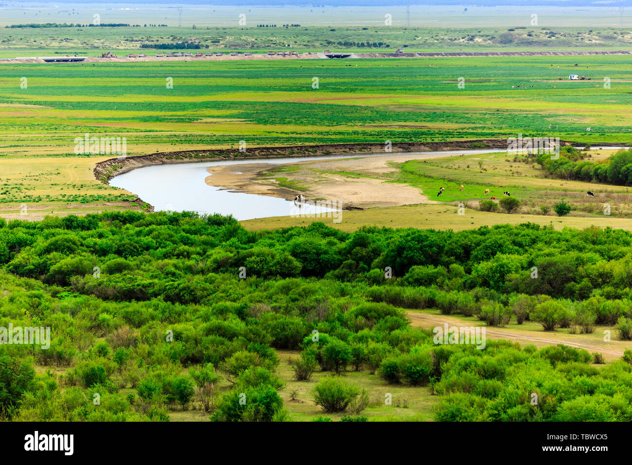 Hulunbuir Bayan Hushuo Mongolian tribal wetland, Inner Mongolia Stock ...