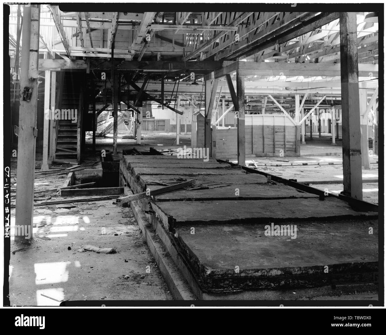 MAIN FLOOR CANNING AREA LOOKING SOUTH Stairway to the left leads into ...