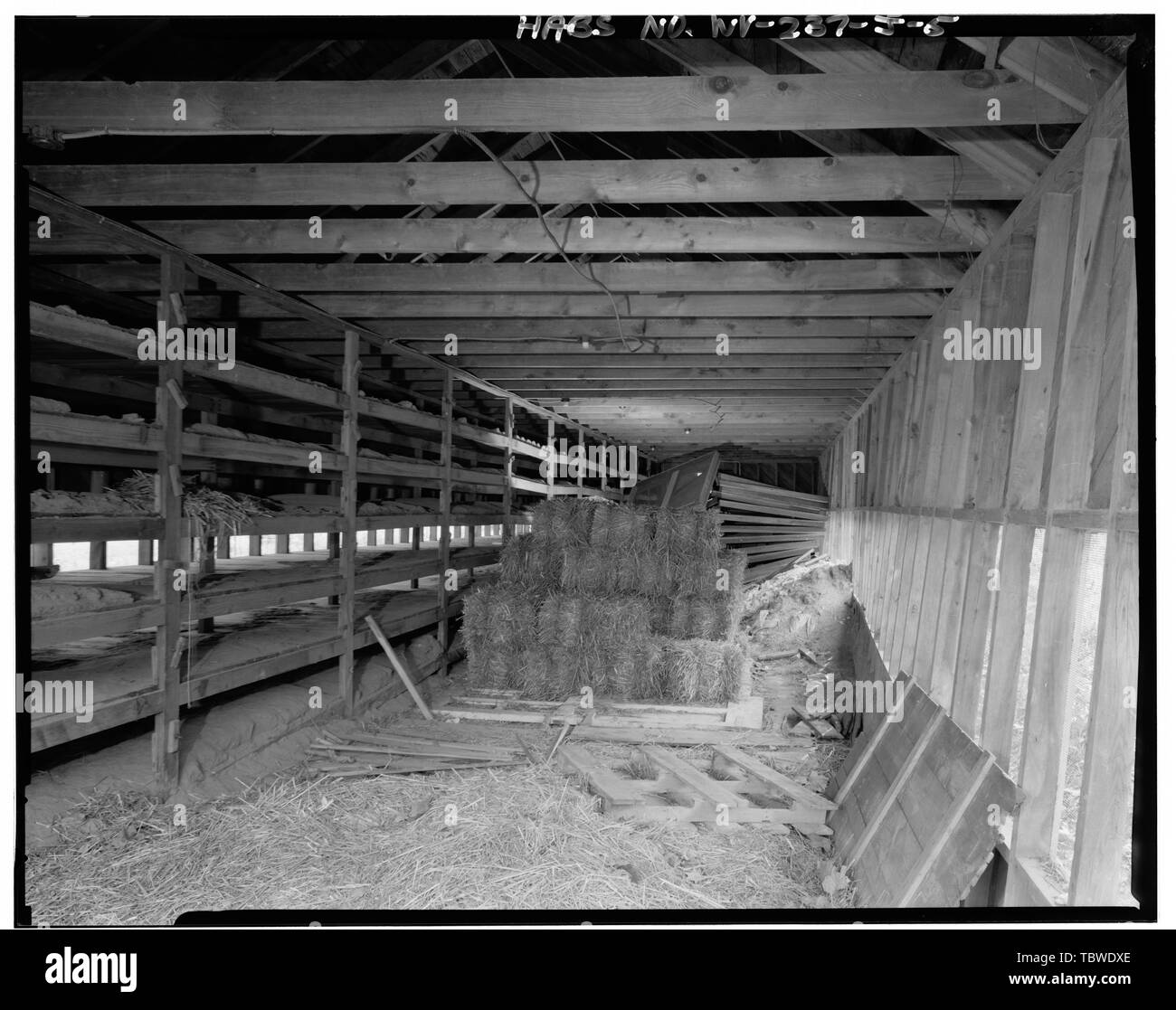 MAIN FLOOR, LOOKING SOUTH. Parsons Nursery, Cone Drying Shed, South ...