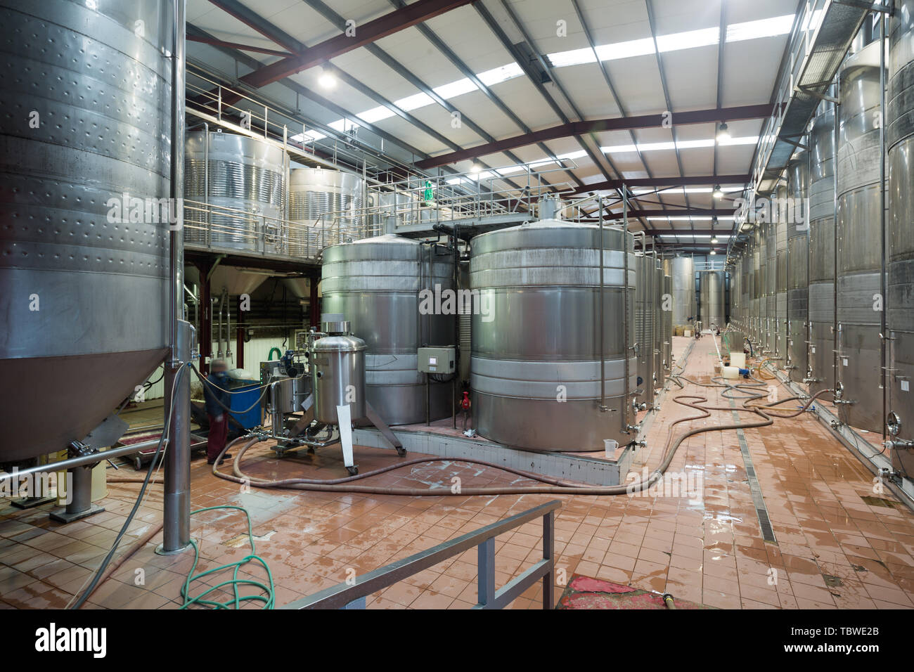 Interior of wine plant shop with modern equipment Stock Photo - Alamy