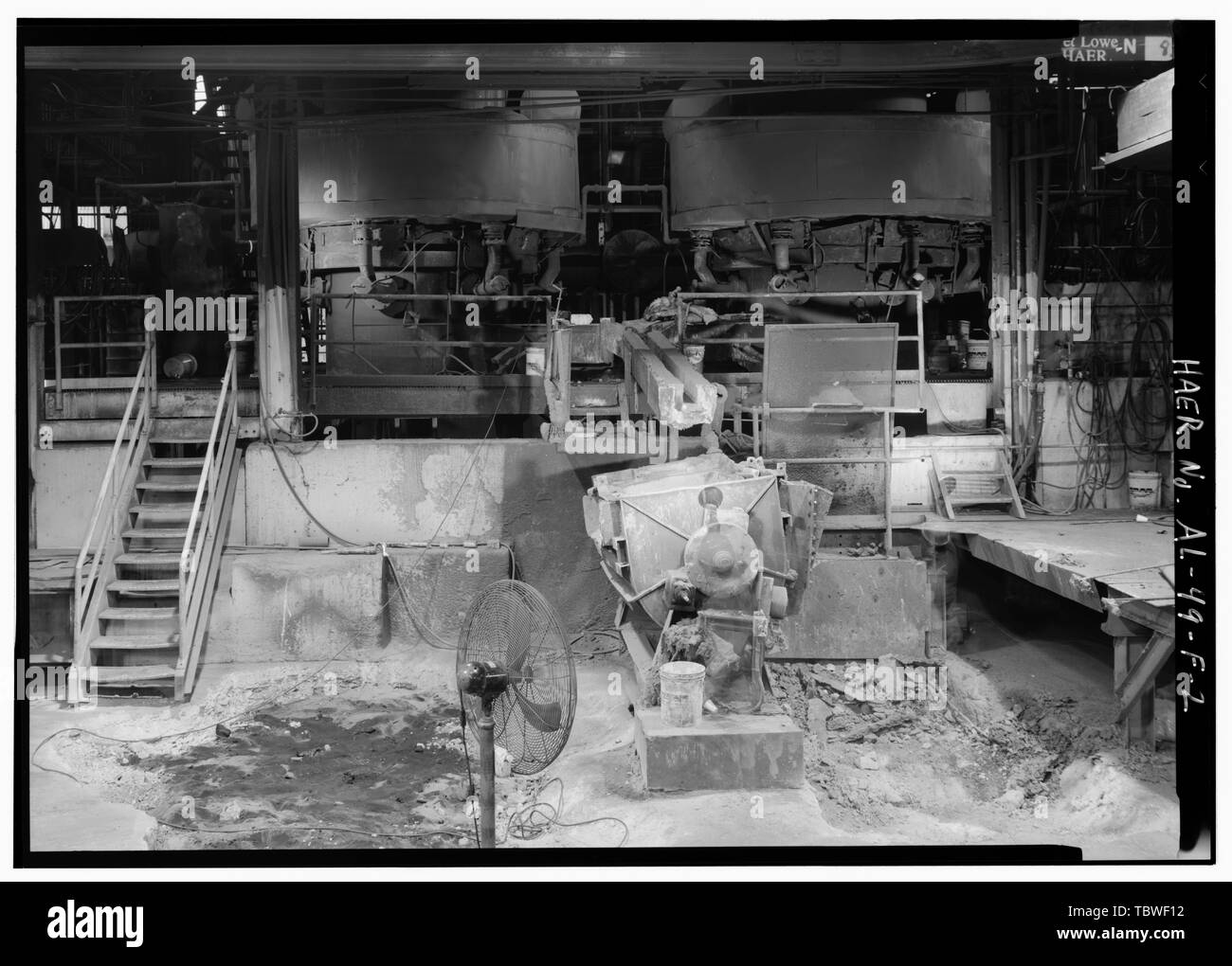 Cast of bull Black and White Stock Photos & Images - Alamy