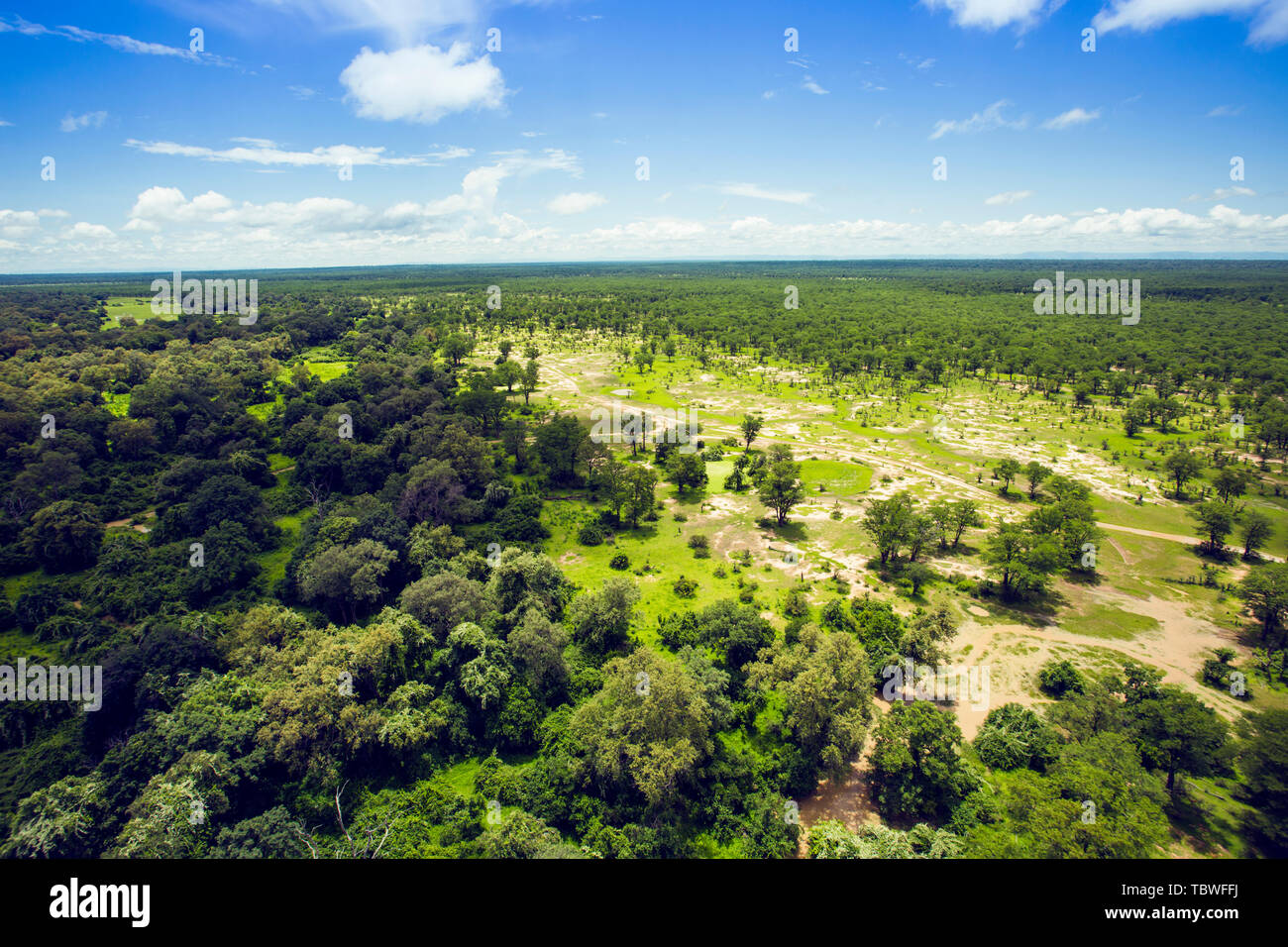 Africa, Zimbabwe, animals, nature pristine, Zambezi river, panorama ...
