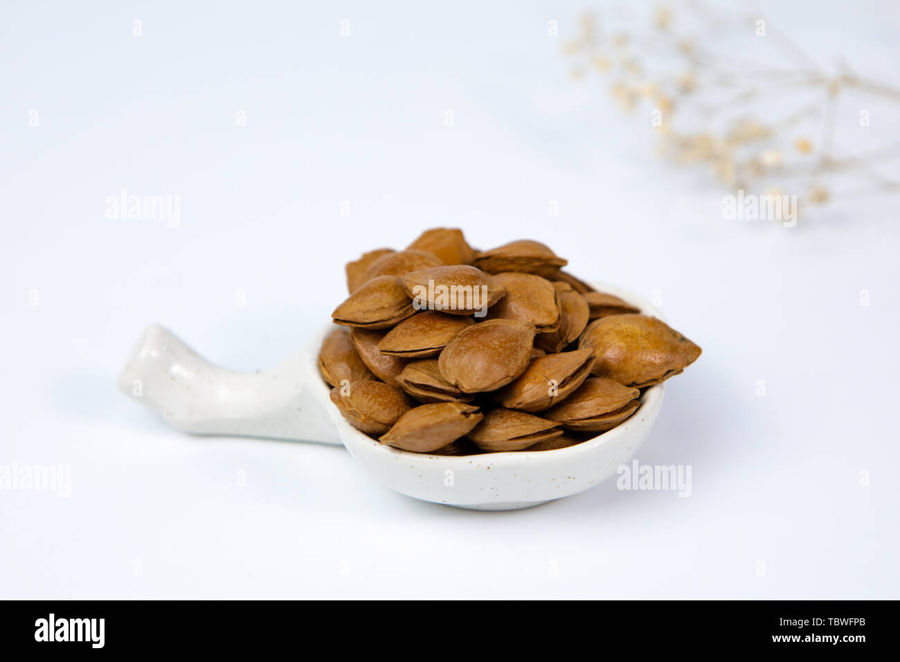 Open little Ginkgo biloba Stock Photo - Alamy