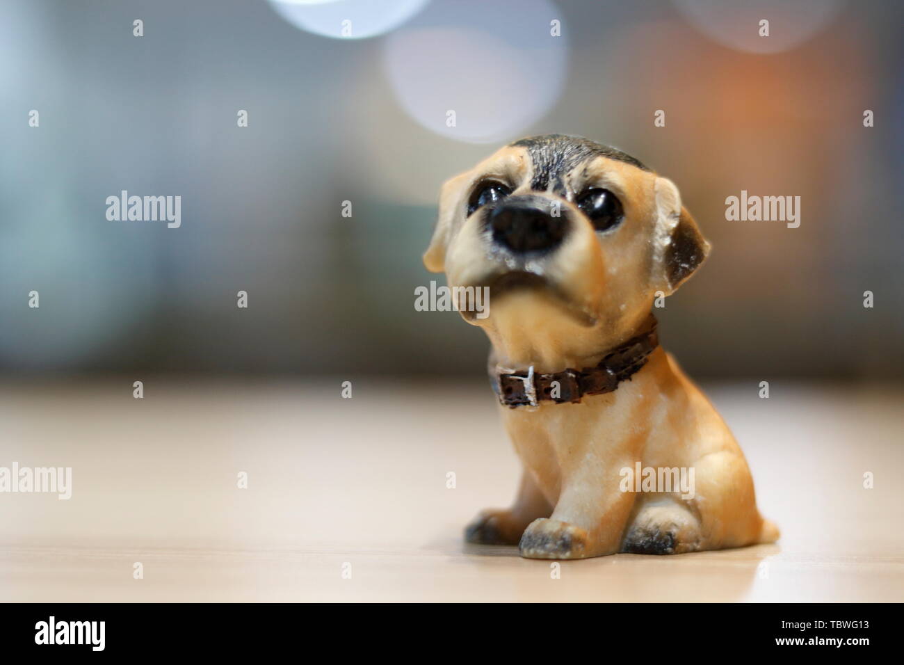 Still life with dog hi-res stock photography and images - Alamy