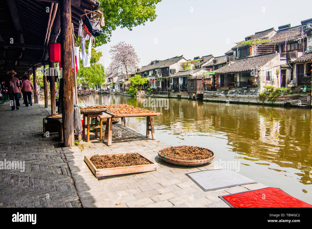Ancient Town, Xitang, Zhejiang Stock Photo - Alamy