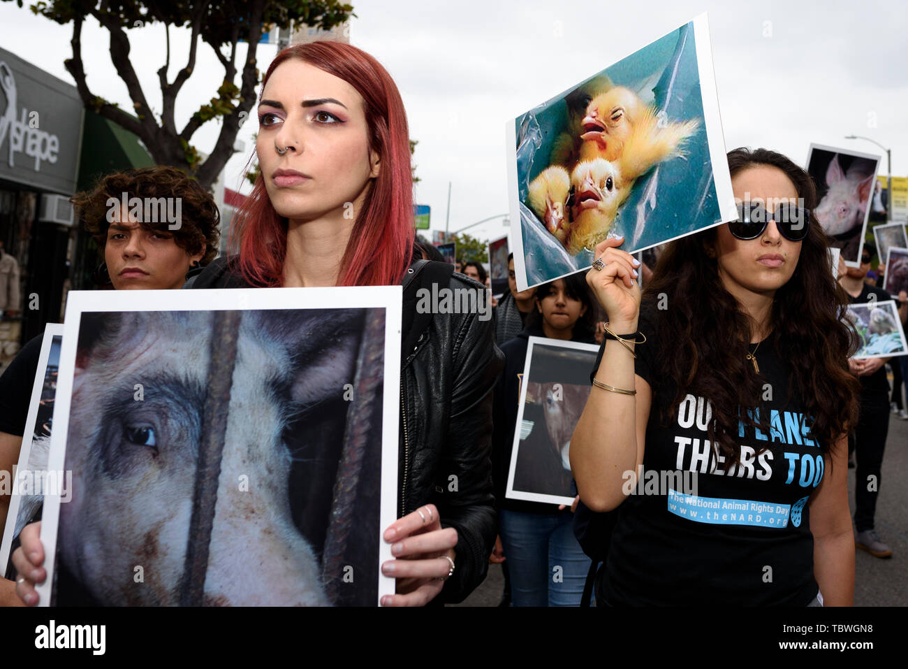 Animal rights activists hold placards during the 9th Annual National ...