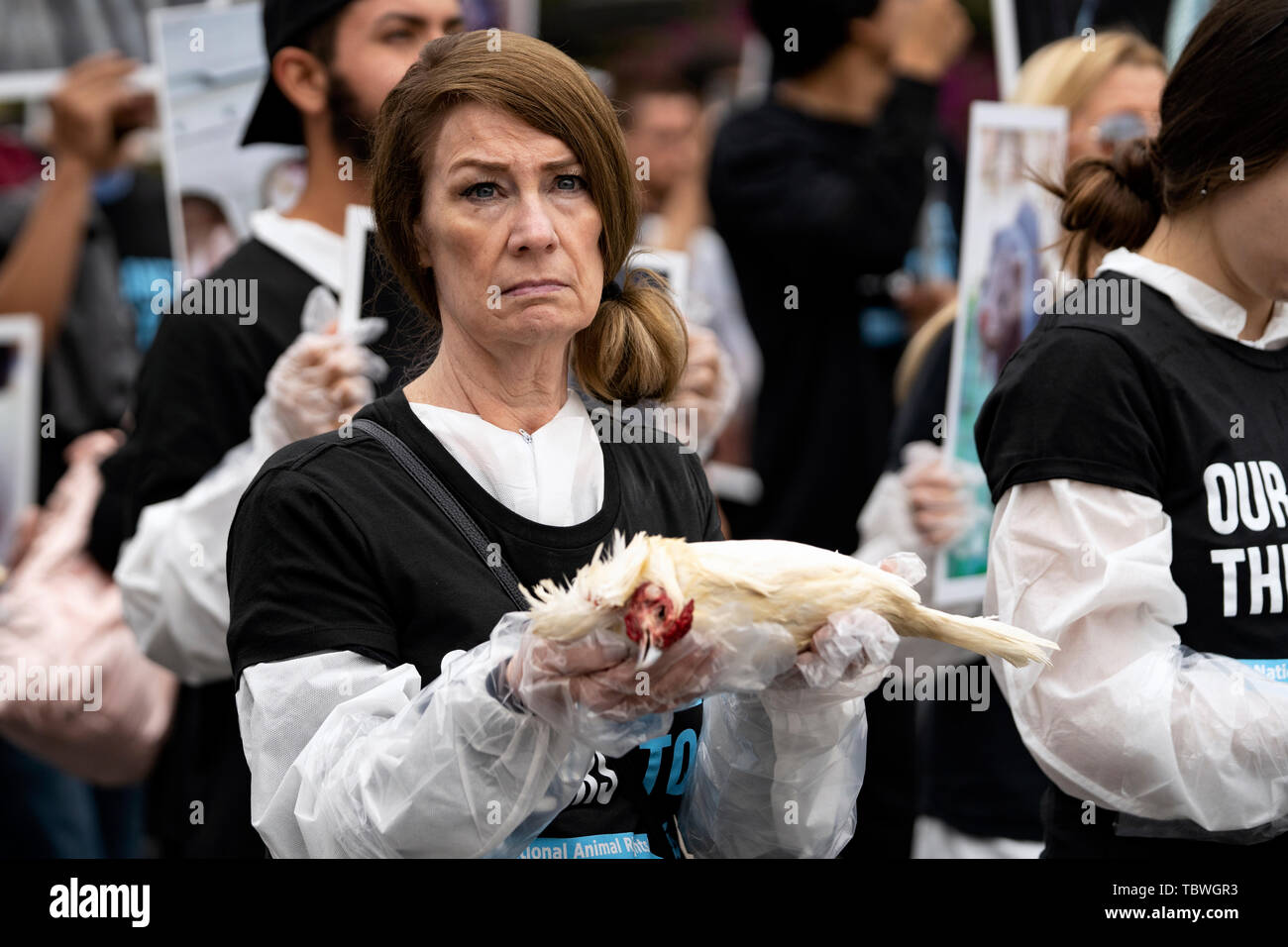 (EDITORS NOTE: Image depicts death) An animal rights activists holds a ...