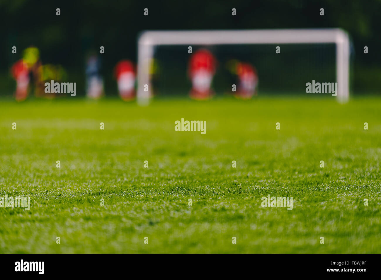Football soccer field. Low angle image of green turf on soccer pitch ...