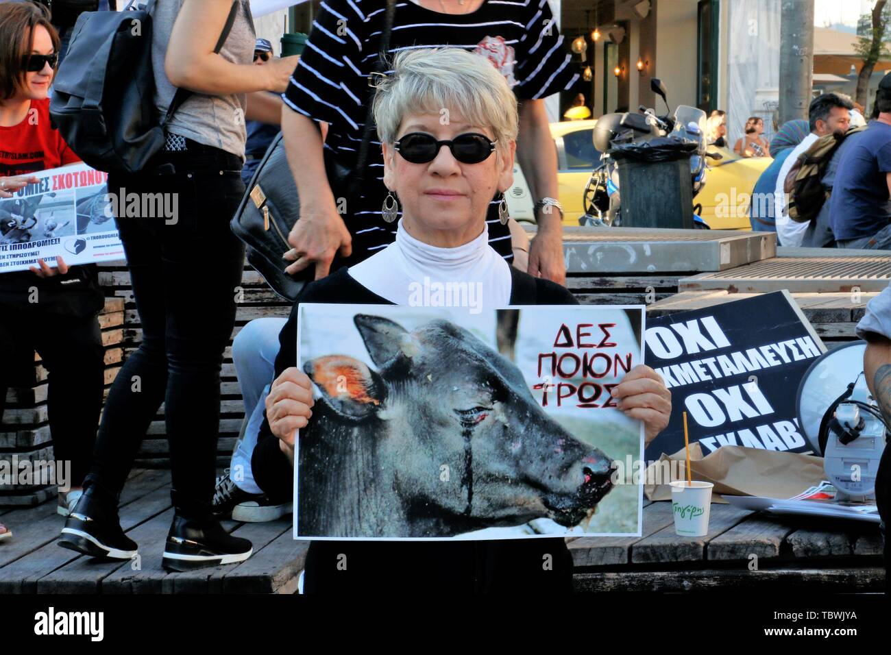 Protest cow hi-res stock photography and images - Alamy