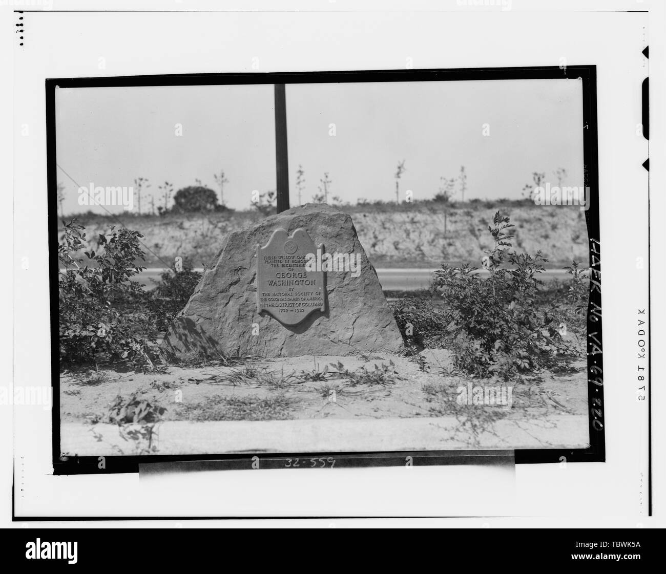 Tree at a river r Black and White Stock Photos & Images - Alamy