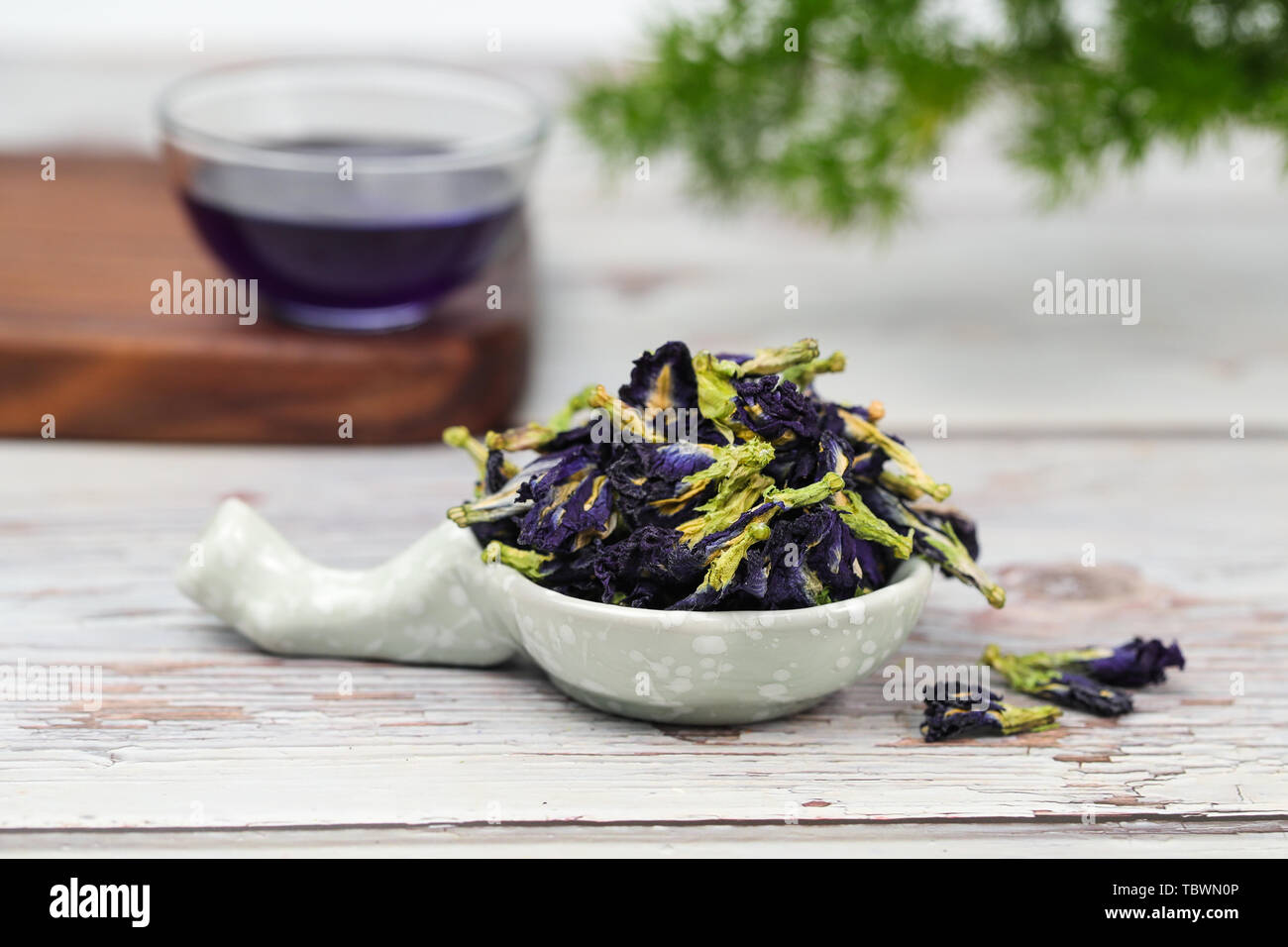 Butterfly bean flower tea blue butterfly flower Stock Photo - Alamy
