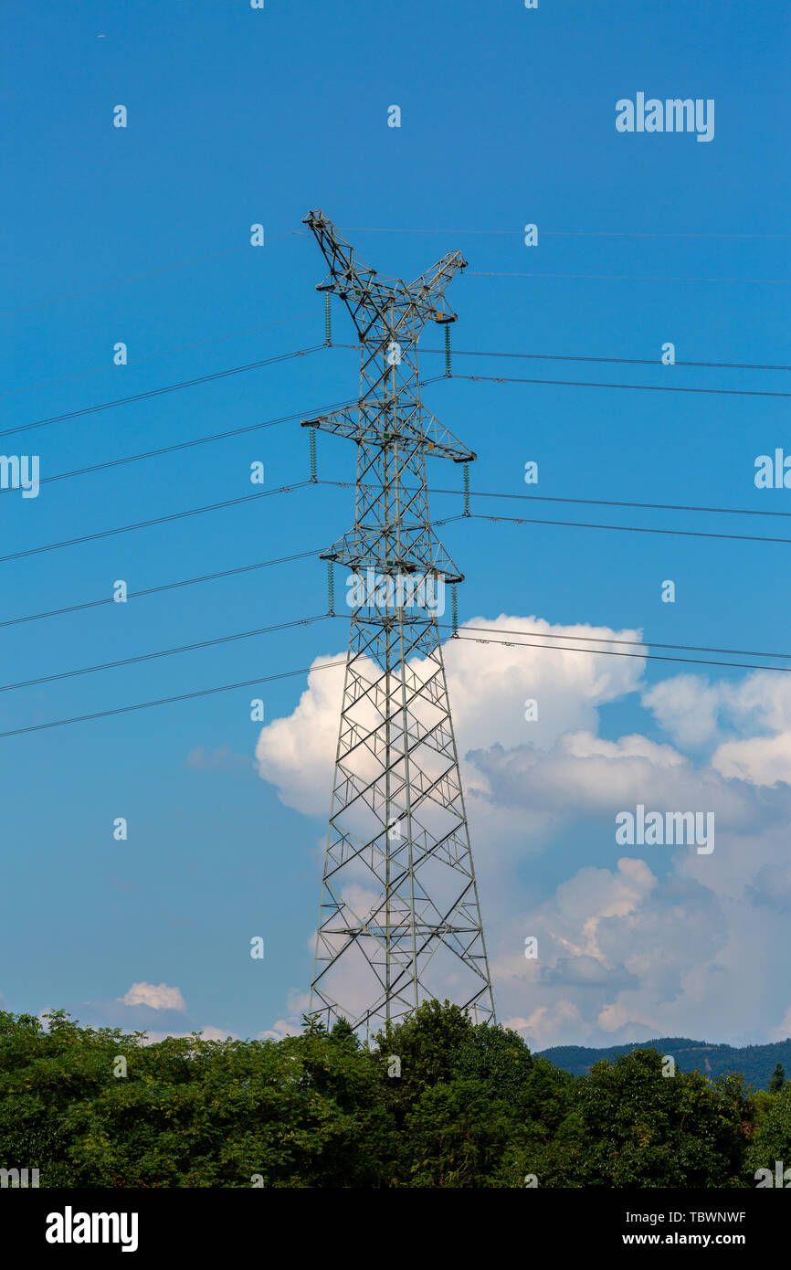 Wire grids hi-res stock photography and images - Alamy
